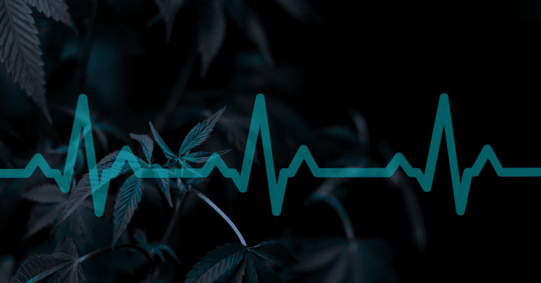 Cannabis: The Heart and Brain Risks No One Warned You About | Amen Clinics